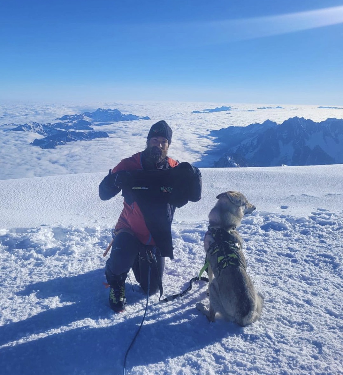Numb: il cane alpinista in cima al Monte Bianco - bobine.tv
